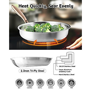 Bakpoco Tri-Ply Stainless Steel Pan with Lid, 12 inch Frying Pan Fully Clad Sauté Pan Induction-Ready Skillet Up to 600℉, 18/10 Stainless Steel Clad Pan with Copper Handle