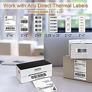 LabelRange LP320 Label Printer – High Speed 4x6 Shipping Label Printer, Windows, Mac, Linux and Chrome OS Compatible, Direct Thermal Printer Supports Shipping, Barcode, Household Labels and More