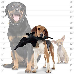 TUFFY - World's Tuffest Soft Dog Toy - Desert Bat - Squeakers - Multiple Layers. Made Durable, Strong & Tough. Interactive Play (Tug, Toss & Fetch). Machine Washable & Floats. (2 Pack)