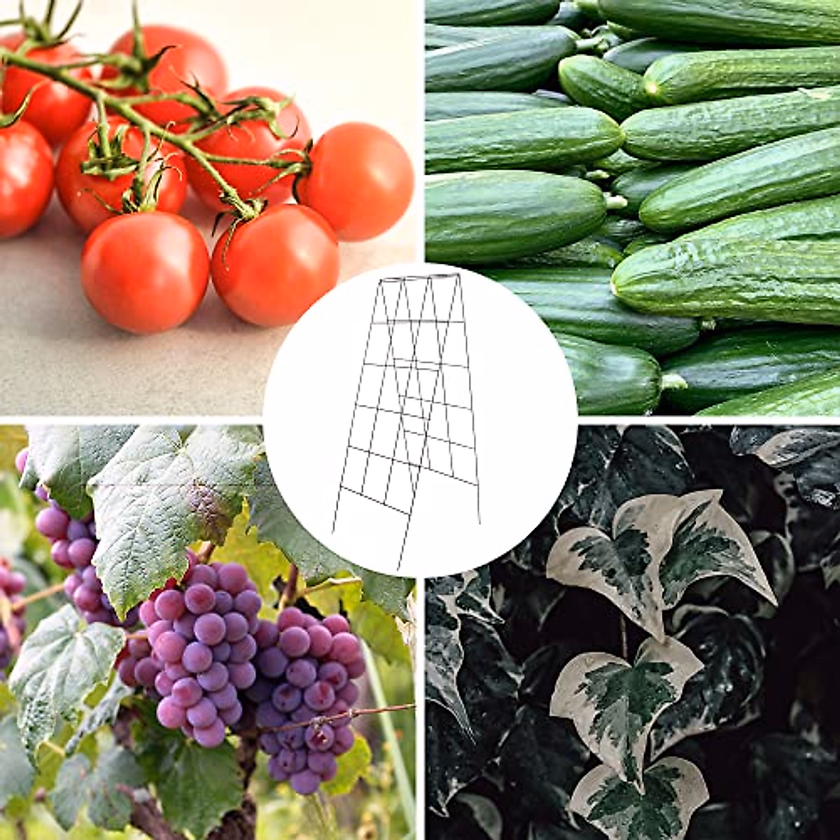 Cucumber Trellis A Frame Garden Trellis for Climbing Plants Outdoor Vegetables Flowers 2Packs