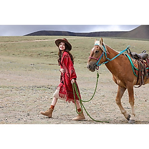 Large Ethnic Style Pashmina Shawls and Wraps for Women Printing Bohemian Extra Long Soft Cashmere Feel Birthday Gifts Throw Warm Winter Womens Fall Scarfs Shawls and Wraps for Wedding Christmas in Red