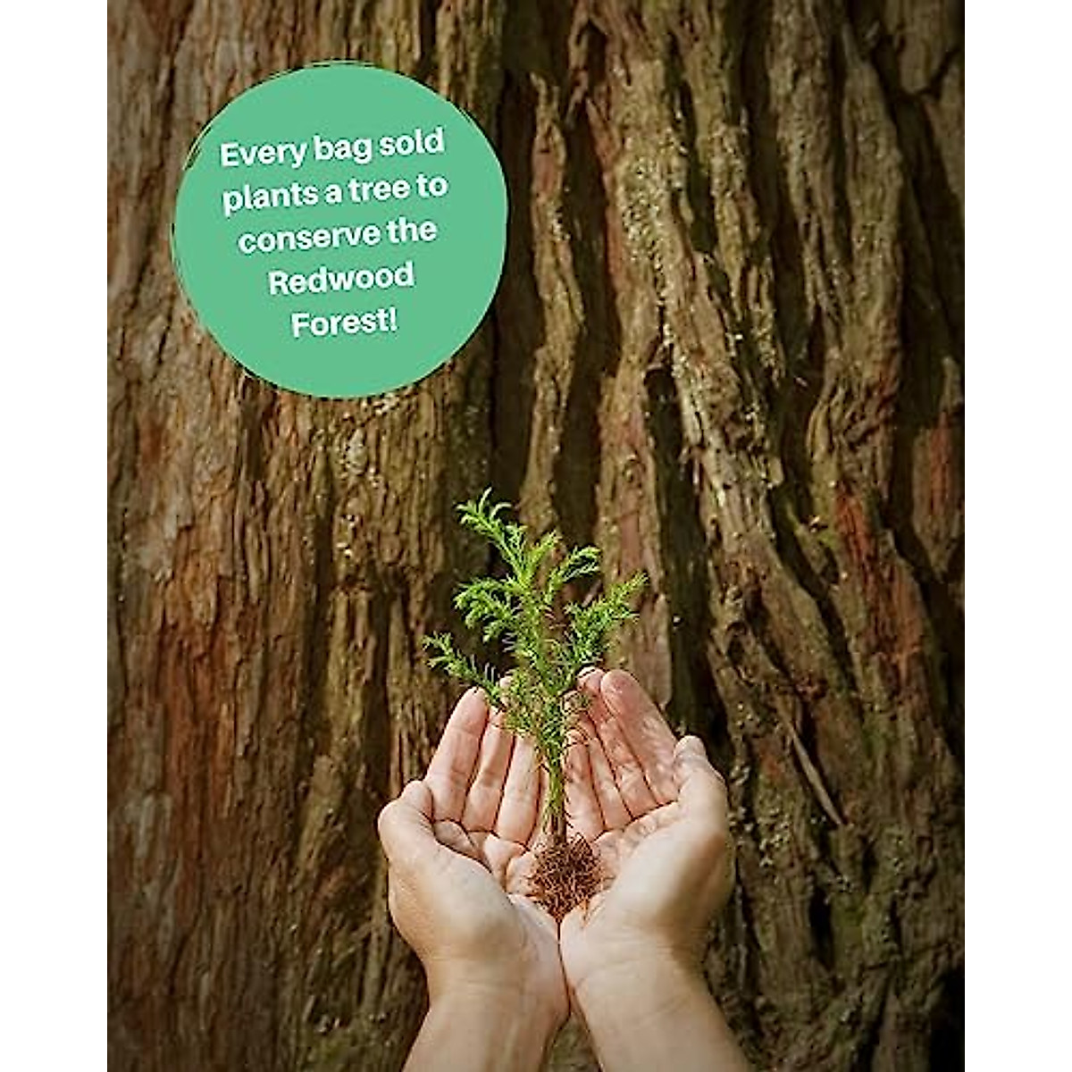 IvyMay Redwoods Potting Soil ― Organic Potting Mix for Indoor House Plants & Aroids, Ready to Use Potting Soil Indoor Plants with Perlite, Earthworm Castings, Essential Oils ― 4 qt