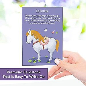 T MARIE 40 Animal Fun Fact Postcards - Bulk Thinking of You Postcard Pack for Kids, Students, Friends, Teacher, and More - Say Hello, Thank You or I Miss You with Colorful Note Cards