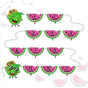 One in a Melon Photo Banner Watermelon 12 Month Photo Prop for First Birthday Party Bunting Decor Summer Fruit Party for Baby Girl