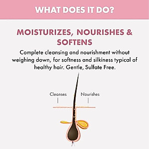 Alfaparf Milano Semi di Lino Moisture Nutritive Shampoo and Conditioner Set for Dry Hair - Sulfate Free Moisturizing Shampoo and Conditioner - Safe on Color Treated Hair - Adds Shine and Softness