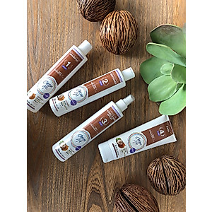 Carson Life Nourishing Conditioner for Dry or Damaged Hair - (2 Pack) Repair Conditioner for Color Treated Hair - Sulfate and Paraben Free - Coconut, Olive and Amla Oils, Shea Butter (2 Pack)