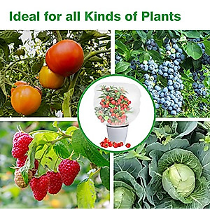 4 Packs Insect Netting Bags for Garden Fruits Plant Tomato Protection Cover Bags with Drawstring 2.6'x2.7' Vegetables Blueberry Orange Guava Mesh Netting Bird Bug Pest Barrier Net Covers