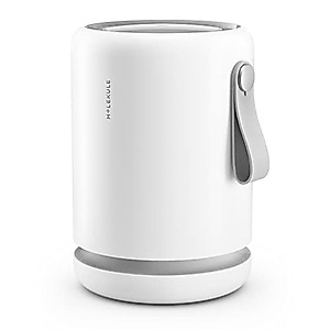 Molekule Air Mini - FDA-Cleared Medical Air Purifier with PECO Technology for Allergens, Pollutants, Viruses, Bacteria, and Mold, White