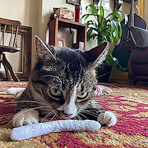 Smokey's Stash Catnip Filled Pre Roll Joints for Cats - 5 Joints per Pack