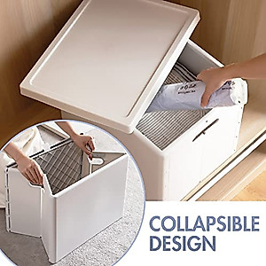 TAILINK Storage Bins 2 Pack 32L & Vacuum Storage Bags 9 Pieces, Collapsible & Stackable Storage Box Folding Storage Containers for Organizing Clothes, Toys, Books, 80% Space Released