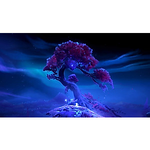 Ori and the Will of the Wisps (Nintendo Switch)