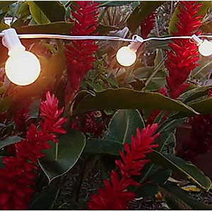 Romasaty 25FT Frosted White Lights G40 Globe Outdoor String Lights Patio Lights with 25 Frosted White Globe Bulbs - White Wire