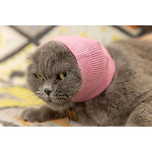 DDFS No Flap Ear Wrap Cat Small (6 Pack), Dedication No Flap Ear Wraps Cat No Flap Ear Wrap Pinpoint Mesh Wine Red S