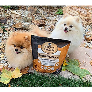BRUTUS & BARNABY Chicken Jerky Dog Treats- Dehydrated, Crunchy USA Premium Fillets, Grain-Free, Preservative-Free, No Fillers. All Natural Chicken Strips are Great for Dogs and Cats- 32oz
