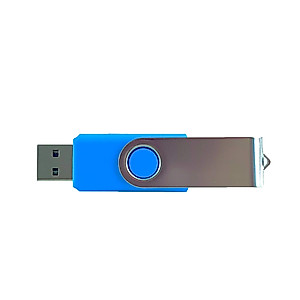 1GB Flash Drives Bulk Two Pack (Blue) 2.0 USB Memory Storage Bundle with (2) Everything But Stromboli Lanyards & (3) Stickers for Labeling Flashdrive