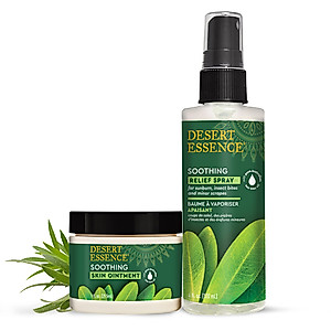 Desert Essence TEA TREE OIL SKIN OINTMENT – Itch Relief, Rash Cream for Razor Burn - Soothing Balm with Lavender & Jojoba - Gluten & Cruelty-Free - 1 oz