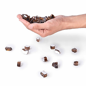 High Luster, 1/2" Reflective Tempered Fire Glass in Cosmic Copper, 10 Pound Jar, by Celestial Fire Glass