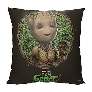 Northwest Guardians of The Galaxy Pillow, 18" x 18", Groot Frame