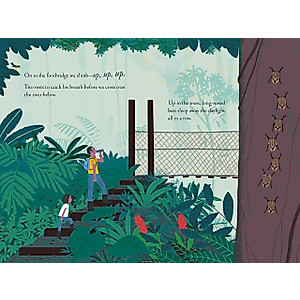 Over and Under the Rainforest