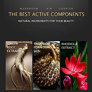 VENZEN Beauty Cream Clear Cover Natural Make Up Nourish Moisturizes Protection Professional Skin Care 2 Colors 20g (#01 Natural)