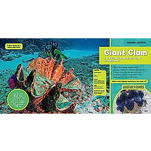 National Geographic Little Kids First Big Book of Rocks, Minerals & Shells (National Geographic Little Kids First Big Books)