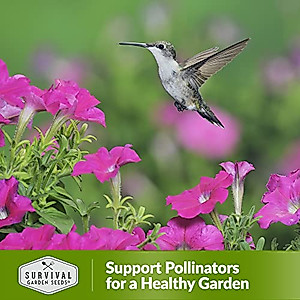 Survival Garden Seeds - Dwarf Petunia Seed Mix for Planting - Packet with Instructions to Plant and Grow Colorful Flowers to Attract Pollinators to Your Home Garden - Non-GMO Heirloom Variety