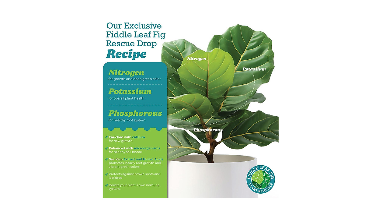 Fiddle Leaf Fig Rescue Drops - 3-in-1 Fertilizer