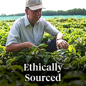 Starbucks Ground Coffee, Toasted Coconut Mocha Naturally Flavored Coffee, 100% Arabica, Limited Edition, 1 Bag (11 Oz)