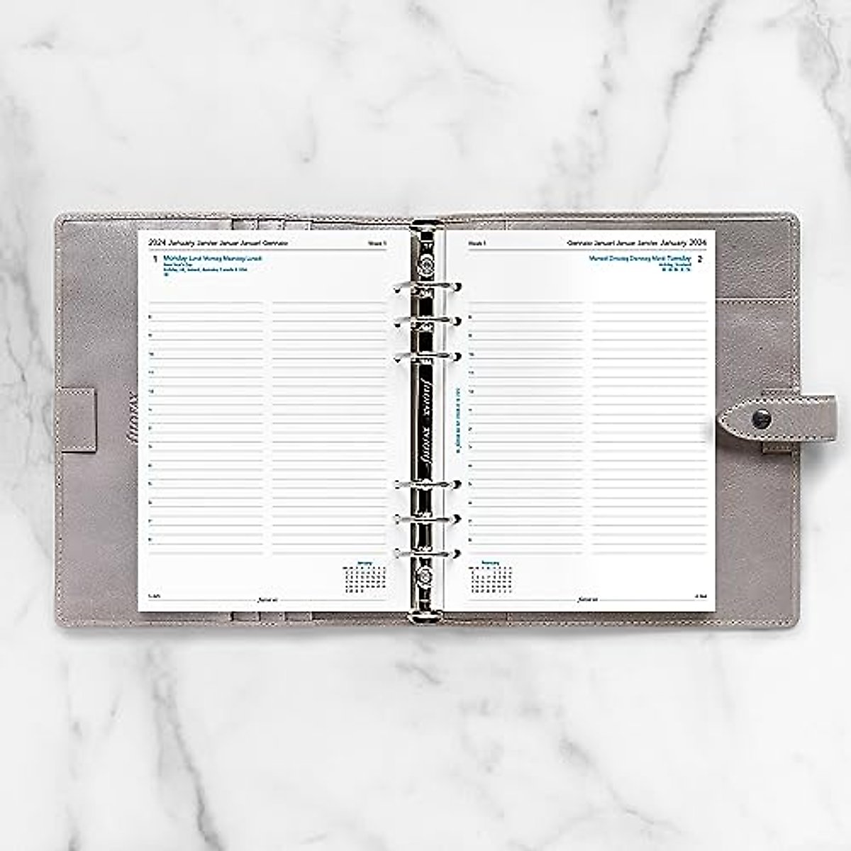 Filofax Calendar Diary Refill, A5 Size, Day on One Page with Appointments, White Paper, Multilingual: Five Languages, 2024 (C68515-24)