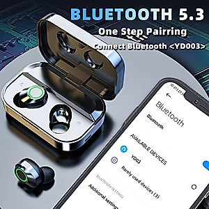 FADACHY Wireless Earbuds,Bluetooth 5.3 in Ear Headphones Built-in Microphon,HiFi Stereo Sound,LCD Recharger Case,Touch Control Earphones for Sport Running Waterproof,Black