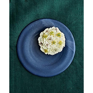 Noma 2.0: Vegetable, Forest, Ocean