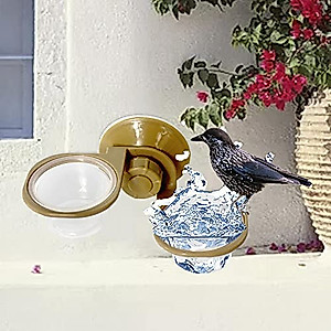 Amphibian Reptile Food Bowl Pets Suction Cup Worm Terrarium Water Dish Mealworms Bowls Feeders for Bearded Gecko