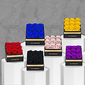 NATROSES Forever Preserved Roses in a Box, 100% Real Roses That Last Up to 3 Years, Flowers for Delivery Prime Birthday, Valentines Day Gifts for Her, Birthday Gifts (Red)