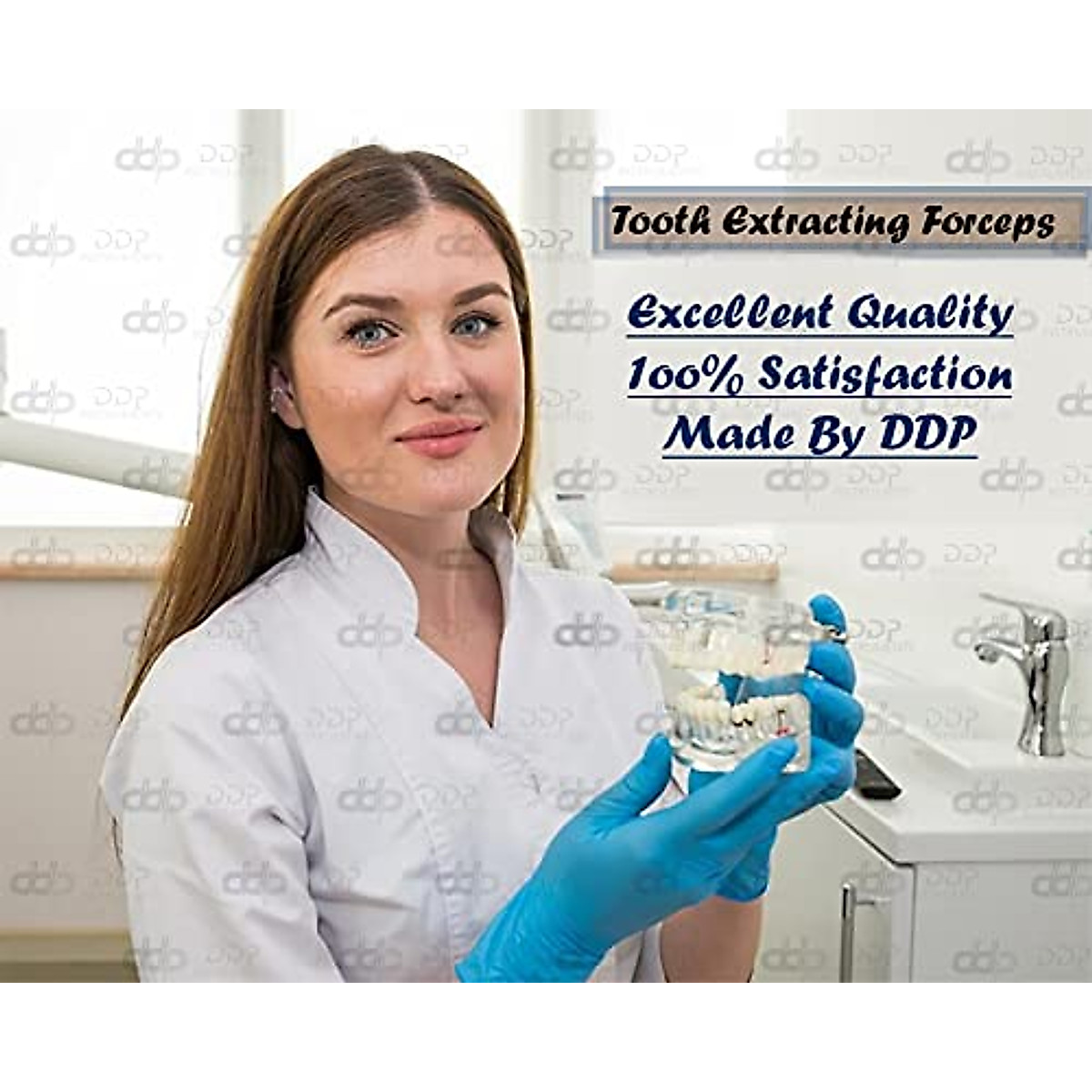 DDP Dental Tooth Extraction Forcep 106 Dentist Lab Tools Stainless Steel