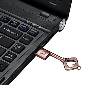 GARRULAX USB Flash Drive, 8GB / 16GB / 32GB / 64GB USB 2.0 Metal USB Memory Stick Date Storage Pendrive Thumb Drives (16GB, Heart Key)