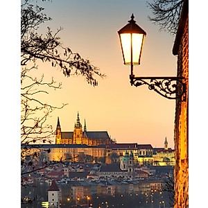 Dusk to Dawn LED Lights Bulb,Photocell Sensor Bulb, Auto Turn On/Off, ST58 ST19 60W Edison Replacement, E26 8W 800lm,Warm White 2700K for outdoor wall light fixture Garden Garage Porch Pack of 2