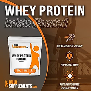 BULKSUPPLEMENTS.COM Whey Protein Isolate Powder - Pure Protein Powder - Flavorless Protein Powder - Whey Protein - 30g per Serving, 3 Servings of Unflavored Protein Powder (100 Grams - 3.5 oz)