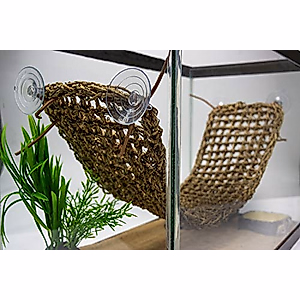 PENN-PLAX Reptology Lizard Lounger – 100% Natural Seagrass Fiber – Great for Bearded Dragons, Anoles, Geckos, and Other Reptiles – Extra Large