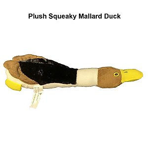Pettrends Plush Squeaky Toy for Dogs - Mallard Duck ~ Fun Toy to Chase, Catch and Chew ~ Approx. 14" Long