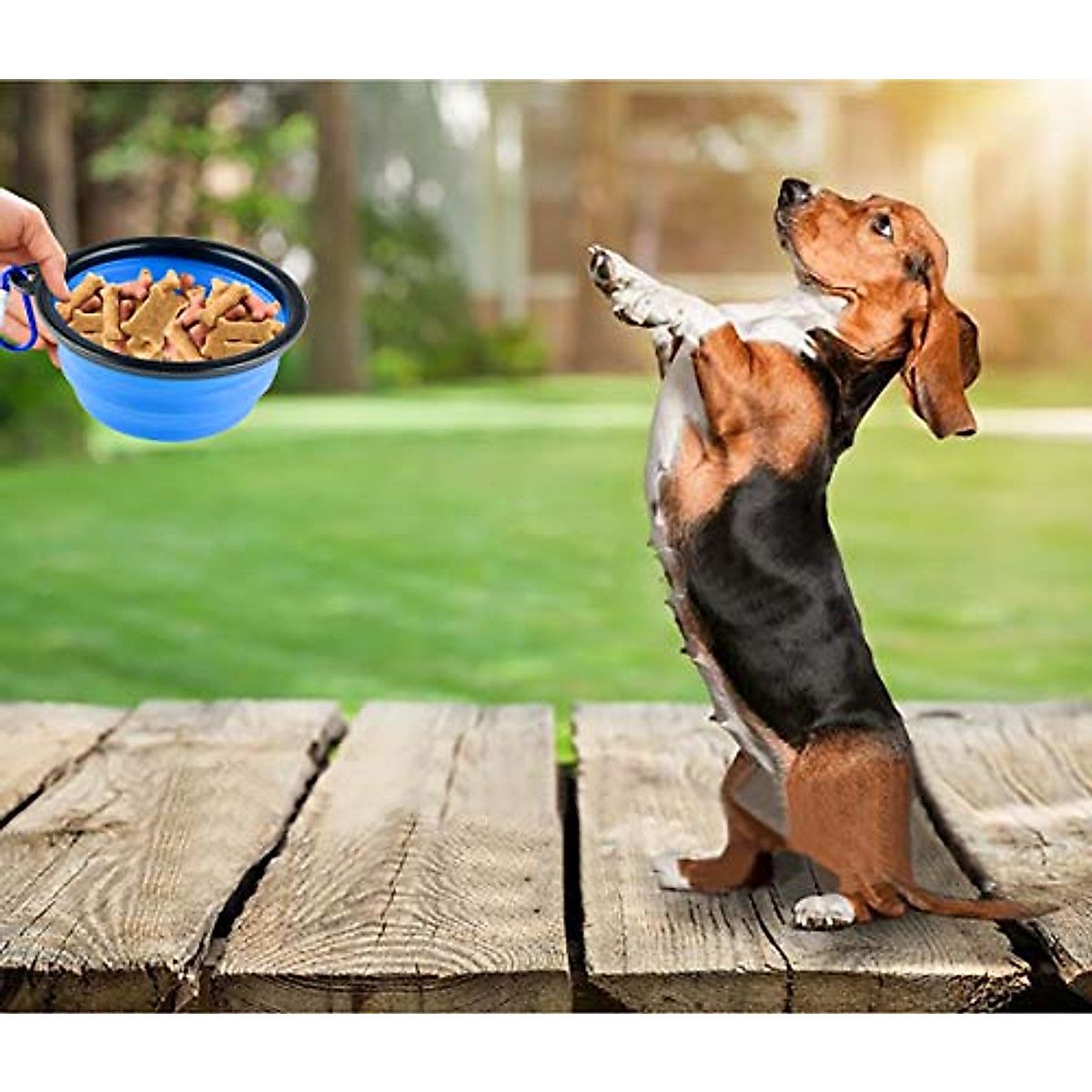 MXZONE 3 Collapsible Silicone Dog Bowl, Foldable Expandable Cup Dish for Small Pet Cat Food Water Feeding Portable Travel Bowl, Free Pet ID-Tag