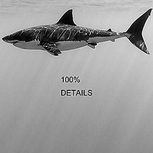 VIIRY Whale Shark Wall Art Canvas Print Poster Black and White Art Deco Painting Hand Painted Texture Canvas Living Room Bedroom Study Painting for Home Decorations(Unframed) (16x20in)