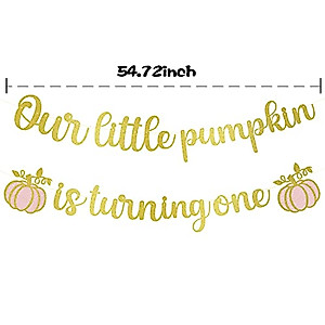 Our Little Pumpkin is Turning one Banner, Little Pumpkin Banner, Little Pumpkin Baby Shower Decorations, Pumpkin First Birthday,Fall Baby Shower Decorations
