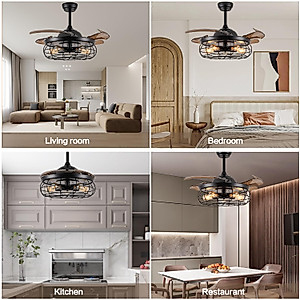 DuMaiWay 42" Industrial Retractable Ceiling Fans with Lights, Fandelier Caged Ceiling Fan with Remote Controller for Farmhouse/Living Room/Bedroom/Restaurant 5 Lights 4 Fan Blades Black