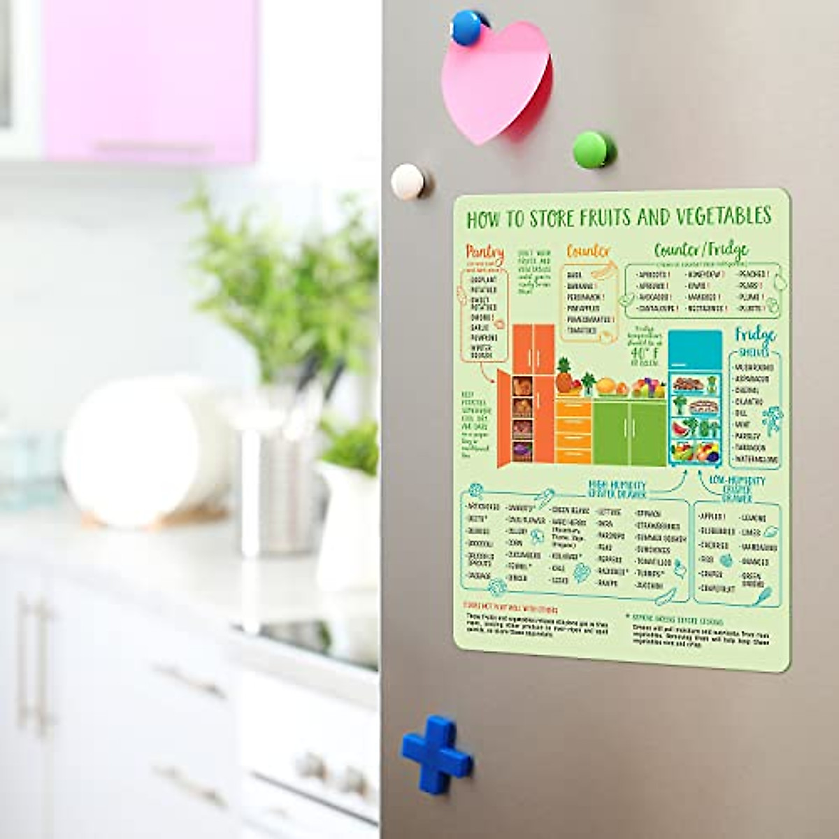 Levain & Co Produce Storage Guide Magnet - Fruit & Vegetable Storage Magnetic Chart - The Ultimate Produce Organizer Cheat Sheet - Keep Foods Fresher Longer