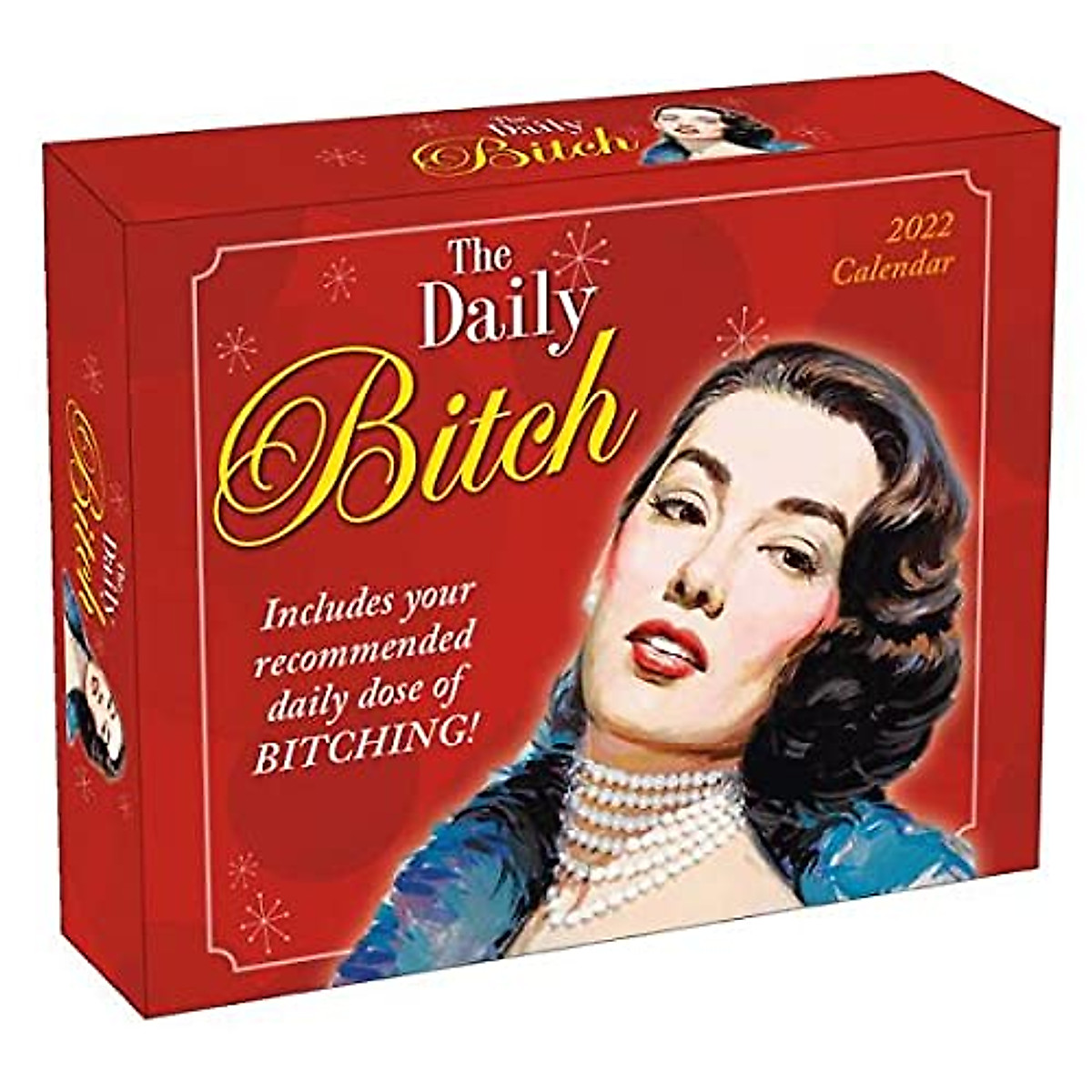 Daily Bitch Calendar 2022 DAILY Bitch Page-A-Day Daily Boxed / DESK Calendar