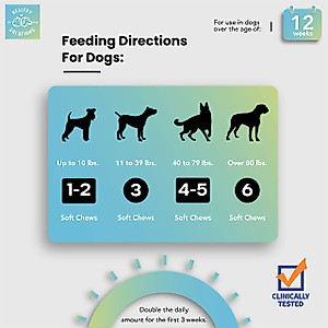 Glucosamine for Dogs - Advanced Dog Hip & Joint Supplement with Chondroitin & Hyaluronic Acid - 60 Soft Joint Health Chews - Made in USA