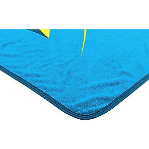 Northwest Takin Action Micro Raschel Throw Blanket, 46" x 60"