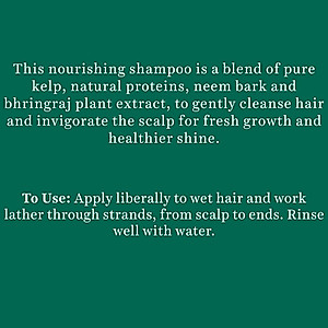 Biotique Bio Kelp Protein Shampoo for Falling Hair, 340 ml