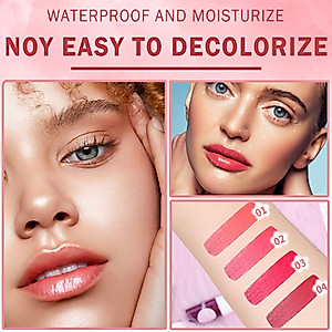 IONSGAKO Lipstick Set, 2PCS Liquid Lip Stain, Long Lasting Waterproof Lip Tint for Lip and Cheek, Lip Gloss, Glossy Finish (01 & 02)