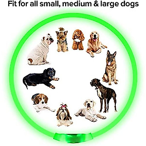 Led Dog Collar, BSEEN USB Rechargeable Flash Dog Necklace Light, Pet Safety Collar Makes Your Beloved Dogs Be Seen at Night for Small Medium Large Dogs